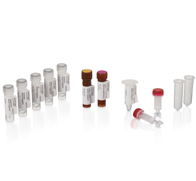 NovaFluor™ Antibody Conjugation Kits