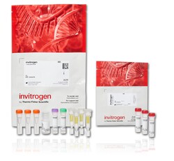 pHrodo™ Antibody Labeling Kits