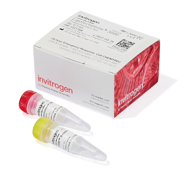 Lipofectamine™ 3000 Transfection Reagent 0.1 mL | Buy Online | Invitrogen™
