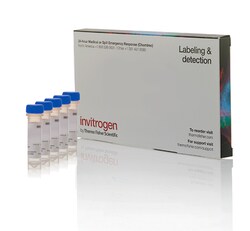 Amplex™ Red 试剂