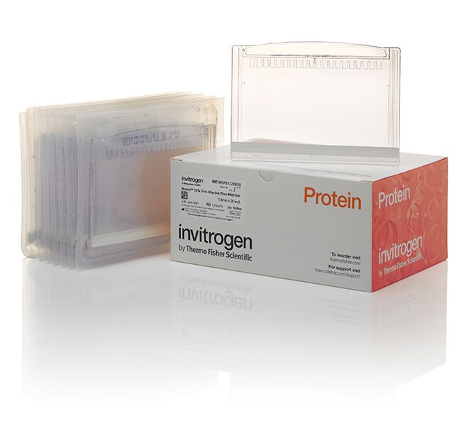 NuPAGE™ 3 to 8%, Tris-Acetate, 1.0 mm, Midi Protein Gels