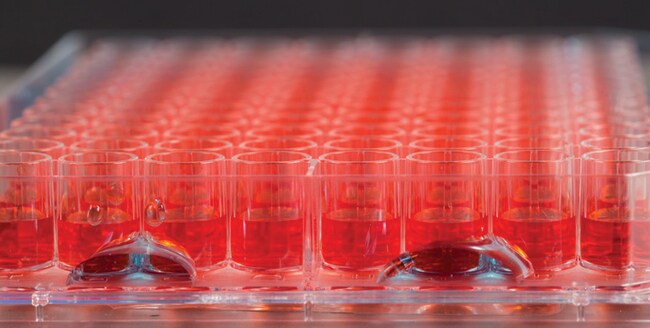 Nunc™ Edge™ 96 孔,经 Nunclon Delta 处理,平底微孔板