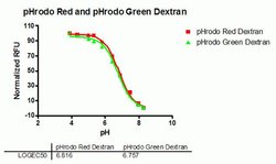 pHrodo™ Red and Green Dextran, 10,000 MW, for Endocytosis