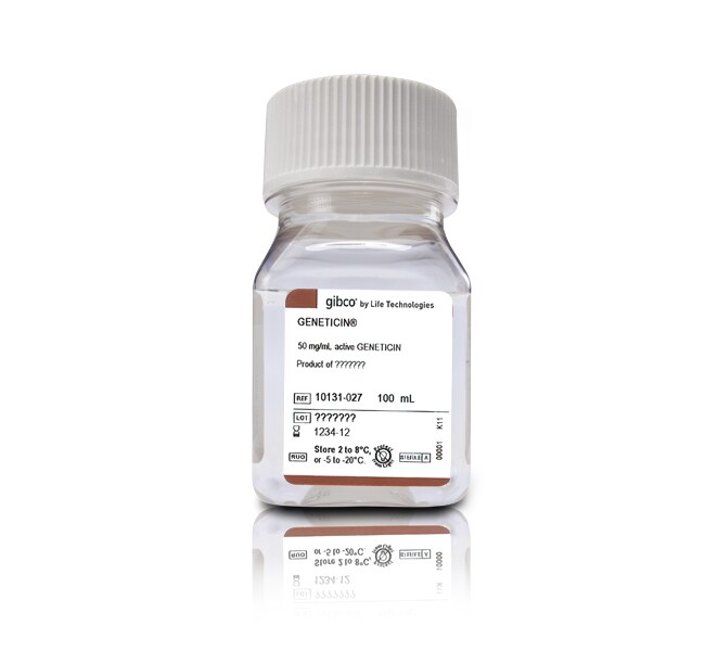 Geneticin™ 选择性抗生素（G418 硫酸盐）(50 mg/mL) 100 mL | Buy Online | Gibco™ | thermofisher.cn
