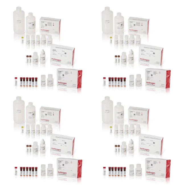 ViewRNA™ Colorimetric Tissue 2-Plex Kits
