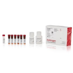 ViewRNA™ Colorimetric Tissue Core Kit and Individual Modules
