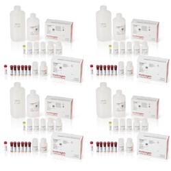 ViewRNA™ Colorimetric Tissue 1-Plex Kits
