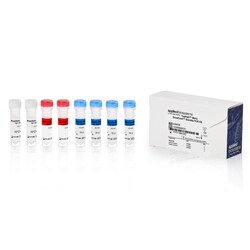 TaqPath™ Menu & GeneProof Borrelia PCR Kit