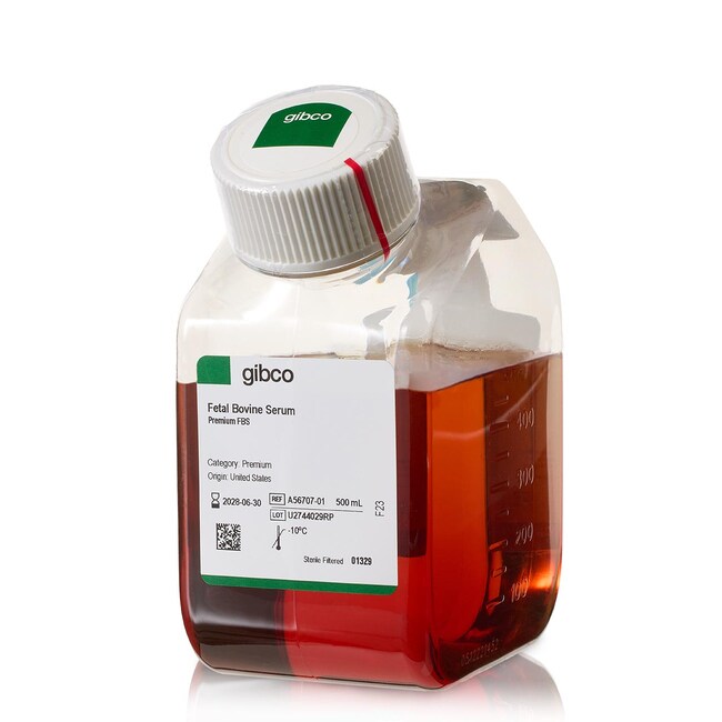 Fetal Bovine Serum, Premium 500 mL | Contact Us | Gibco™ | thermofisher.cn