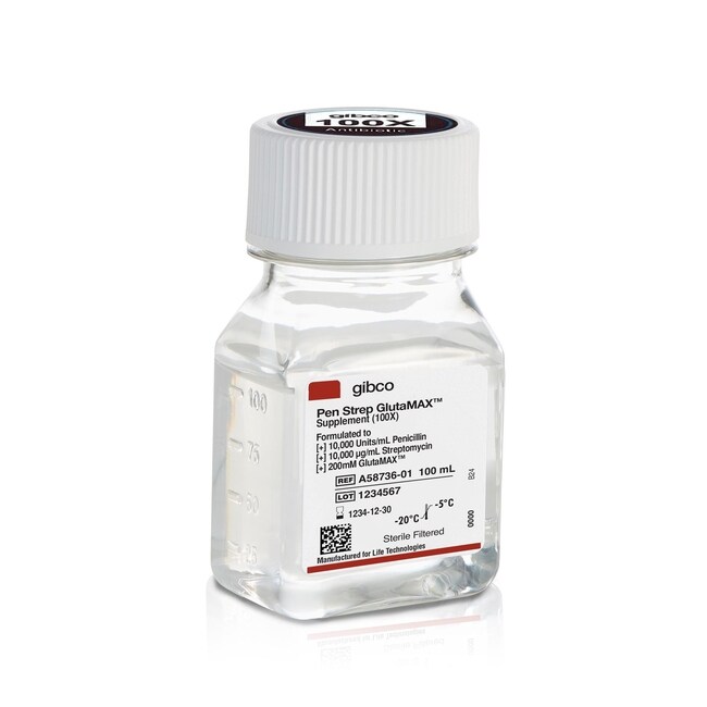 Penicillin Streptomycin GlutaMAX™ Supplement (100X) 100 mL | Buy Online | Gibco™