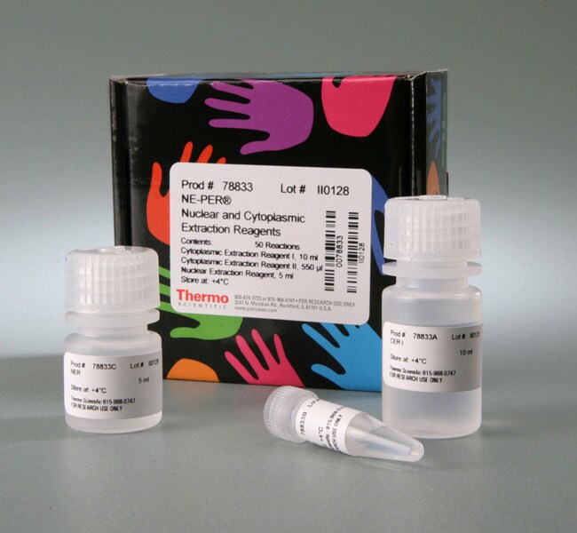 NE-PER™ 细胞核和细胞质提取试剂 15 mL | Buy Online | Thermo Scientific ...