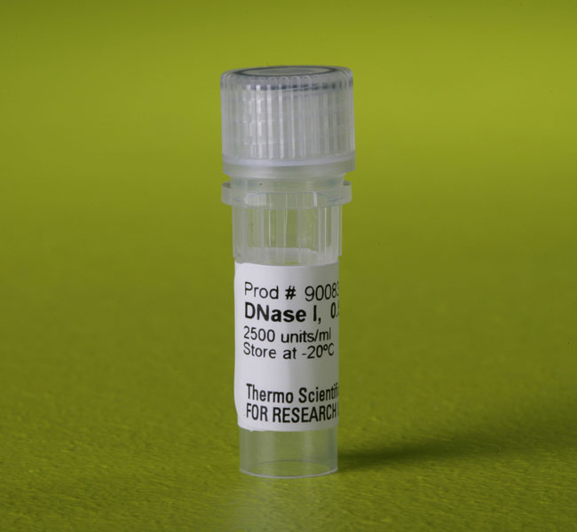 DNase I 溶液 (2500 U/mL) 0.5 mL | Buy Online | Thermo Scientific ...