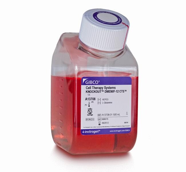 CTS™ KnockOut™ DMEM/F-12 500 mL | Buy Online | Gibco™ | thermofisher.cn