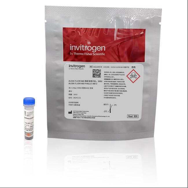 Phalloidin Conjugates Alexa Fluor™ 660 | Buy Online | Invitrogen ...