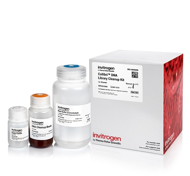 Collibri™ DNA Library Preparation Kit Modules 96 Preps | Buy Online ...