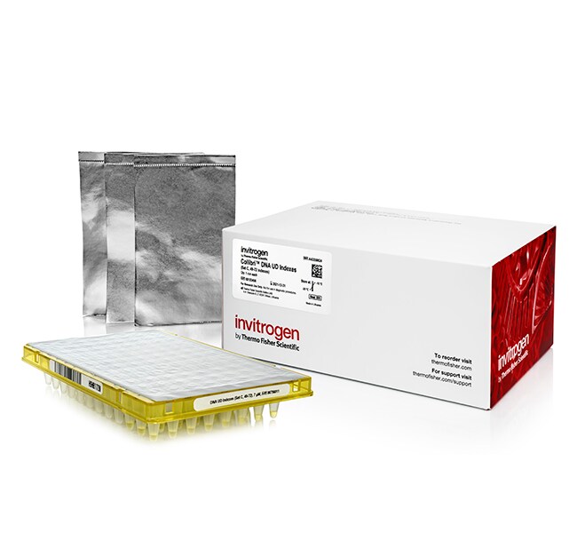 Collibri™ DNA Library Preparation Kit Modules 24 Preps | Buy Online ...