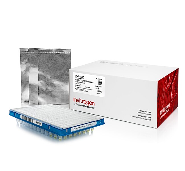 Collibri™ DNA Library Preparation Kit Modules 24 Preps | Buy Online ...