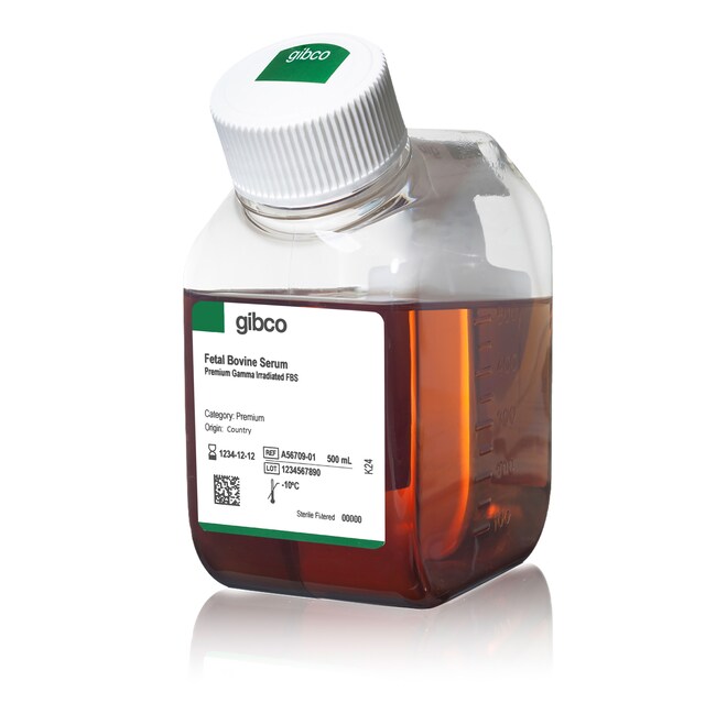 Fetal Bovine Serum (FBS), Premium 500 mL | Contact Us | Gibco™ | thermofisher.cn