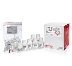 Poly(A)Purist™ MAG 试剂盒