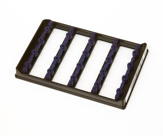 QuantStudio™ Absolute Q™ MAP16 Digital PCR Gasket Strip 60 Pk. | Contact Us