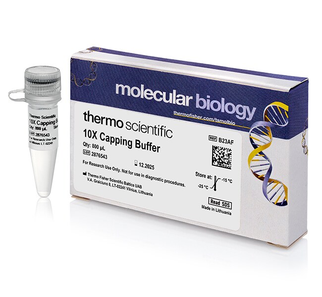 Buffers for RNA Transctription and Post-Transcriptional Modifications