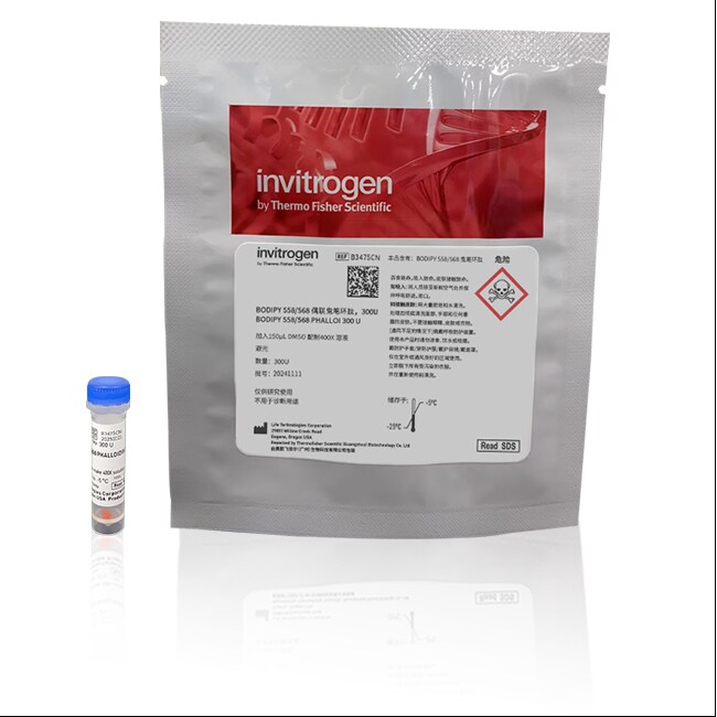 Phalloidin Conjugates BODIPY™ 558/568 | Buy Online | Invitrogen ...