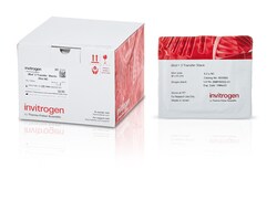 iBlot™ 3 Transfer Stacks, mini, nitrocellulose