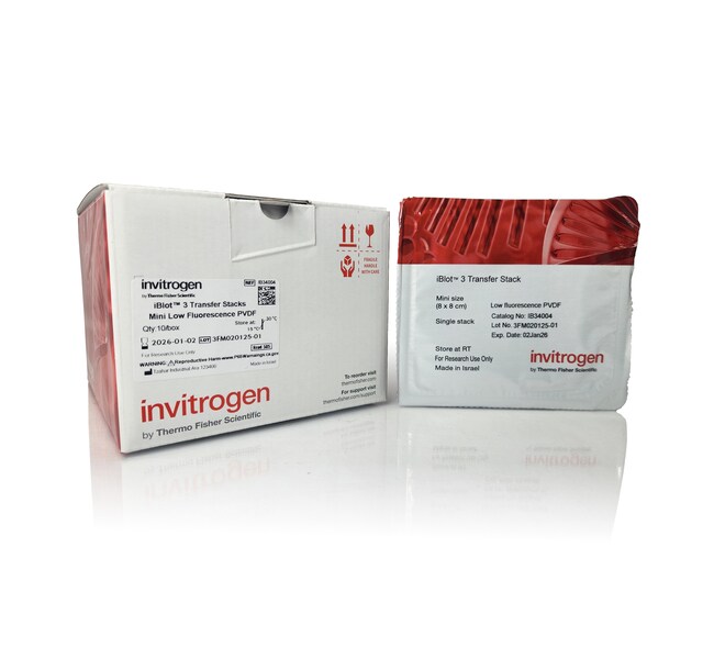 iBlot™ 3 Transfer Stacks, mini, low-fluorescence PVDF