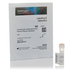 Oxidized Low-density Lipoprotein (OxLDL) and DiI-OxLDL