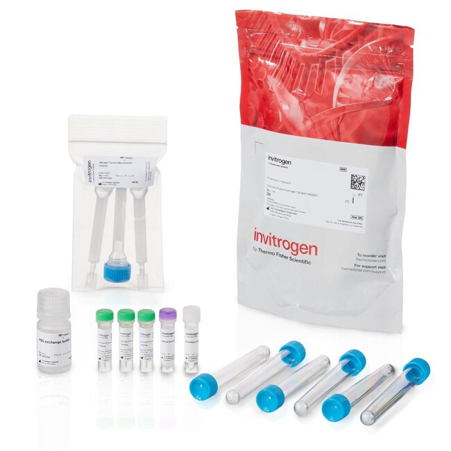 LysoLight™ Antibody Labeling Kits 3 x 1 mg | Buy Online | Invitrogen™ | thermofisher.cn
