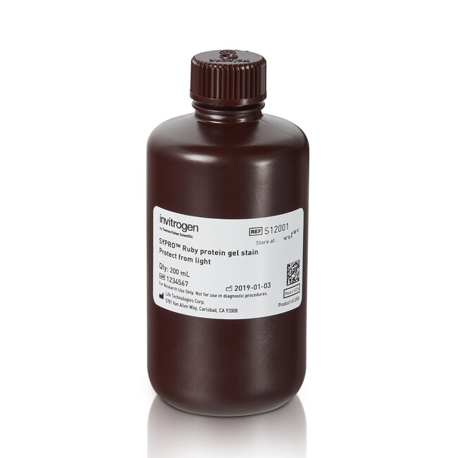 SYPRO™ Ruby 蛋白凝胶染色剂 Ruby | Buy Online | Invitrogen™ | thermofisher.cn