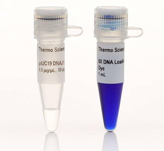 pUC19 DNA/MspI (HpaII) 标记物 50 μg | Buy Online | Thermo Scientific™ | thermofisher.cn