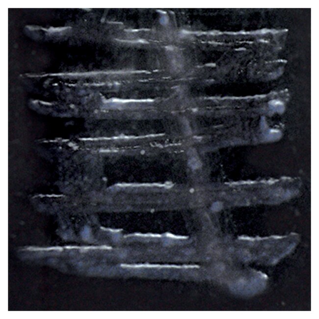 Culti-Loops™ 百日咳杆菌 ATCC™ 12742™