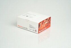 SureTect™ Salmonella Species PCR Assay