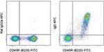 Anti-Mouse IgD Antibodies | Invitrogen