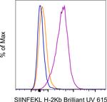 Anti-SIINFEKL Antibodies | Invitrogen