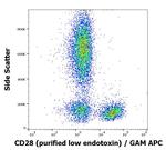 CD28 Monoclonal Antibody (CD28.2) (MA1-10166)