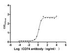 Anti-CD74 Antibodies | Invitrogen