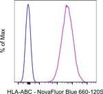 Anti-HLA-ABC Antibodies | Invitrogen