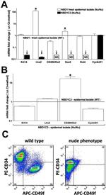 CD49f (Integrin alpha 6) Monoclonal Antibody (eBioGoH3 (GoH3)), PE (12 ...