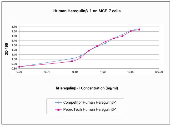 Human Heregulin beta-1 Recombinant Protein (100-03-1MG)