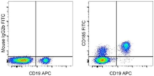 CD185 (CXCR5) Monoclonal Antibody (MU5UBEE), FITC (11-9185-42)