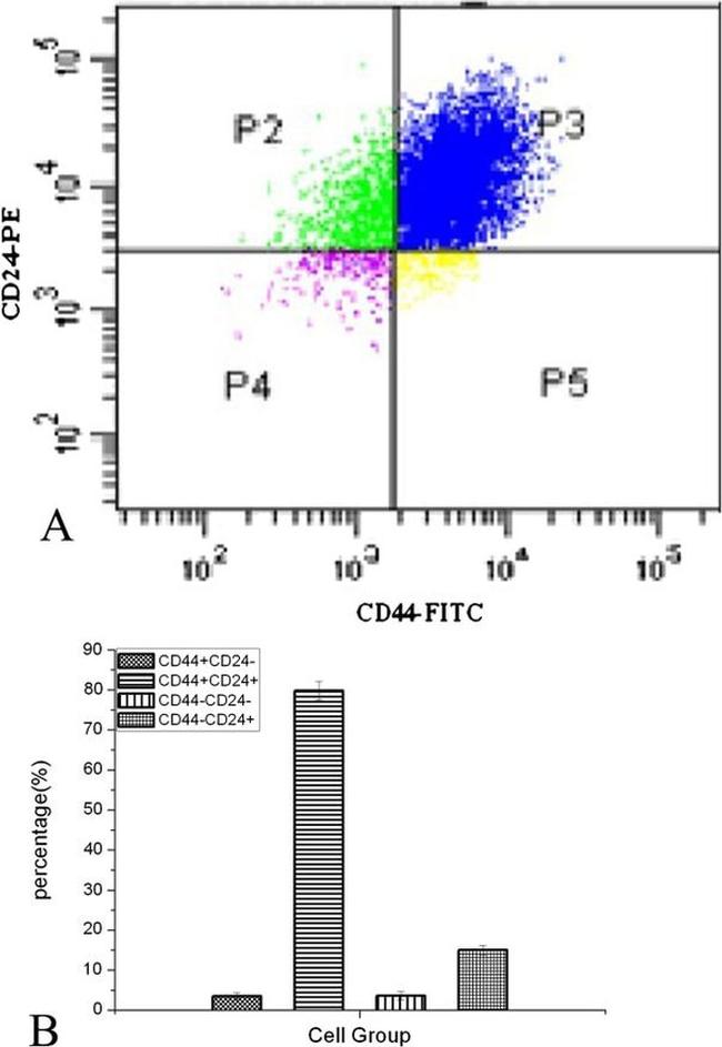 CD24 Antibody, PE (12-0247-42)