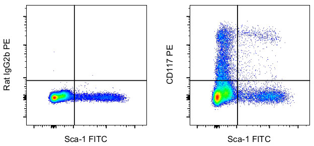 CD117 (c-Kit) Antibody, PE (12-1172-82)