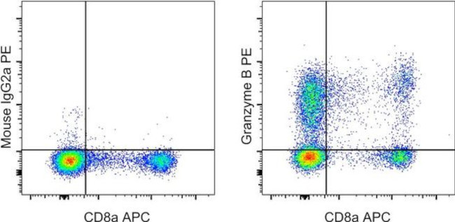 Granzyme B Antibody, PE (12-8896-42)