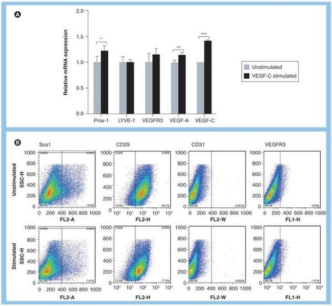 CD29 (Integrin beta 1) Antibody, FITC (11-0291-82)
