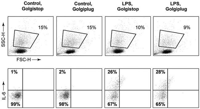 IL-6 Antibody (14-7069-81)