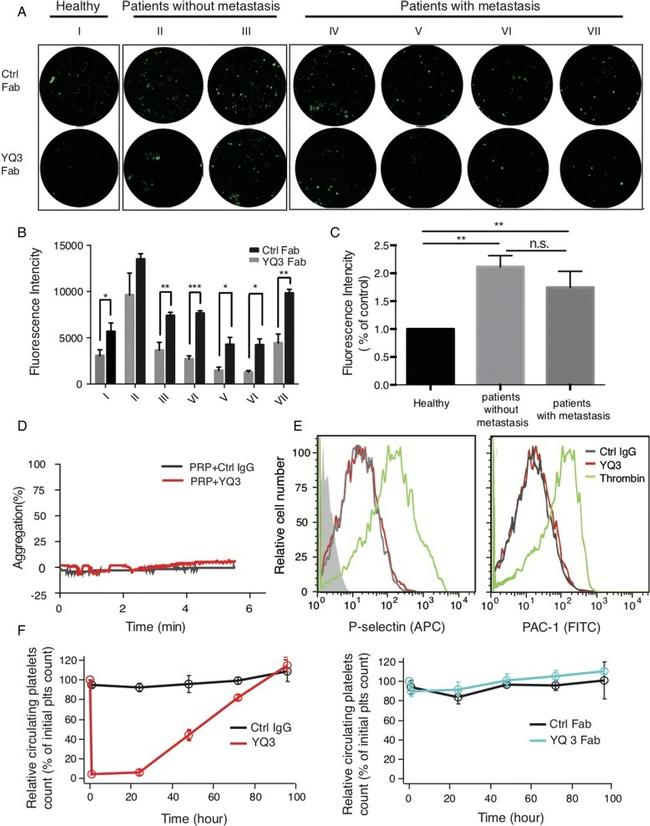 CD62P (P-Selectin) Antibody, PE (12-0626-82)