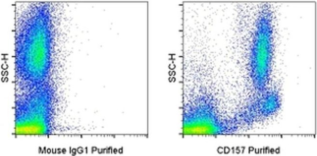 CD157 Antibody (14-1579-82)