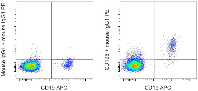 CD196 (CCR6) Antibody (14-1969-82)